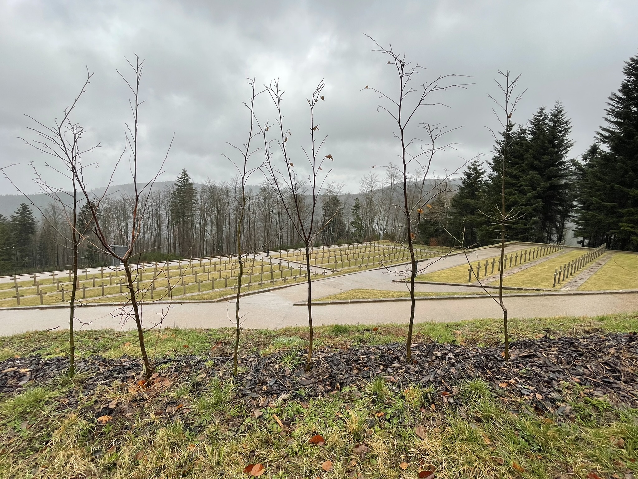 Natzweiler – Struthof : Un camp de concentration allemand en Alsace ...